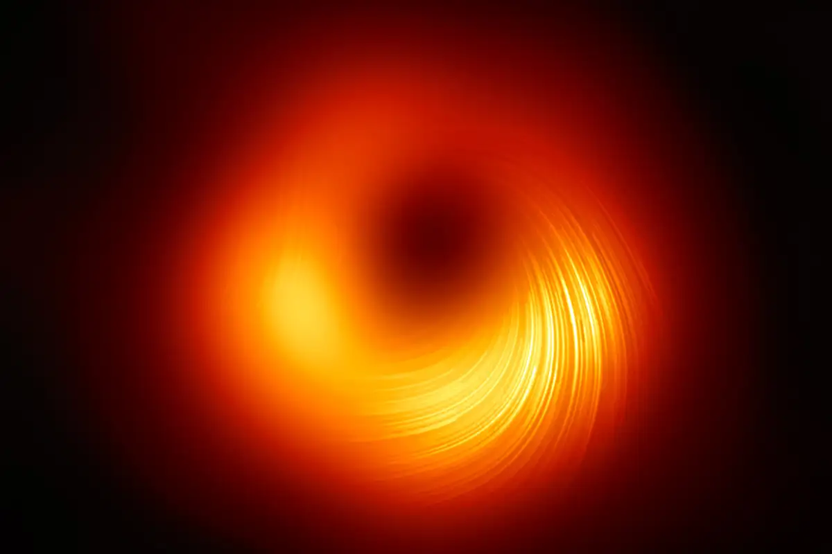 How Many Black Holes are There? The Nature of Black Holes - Astronomy ...